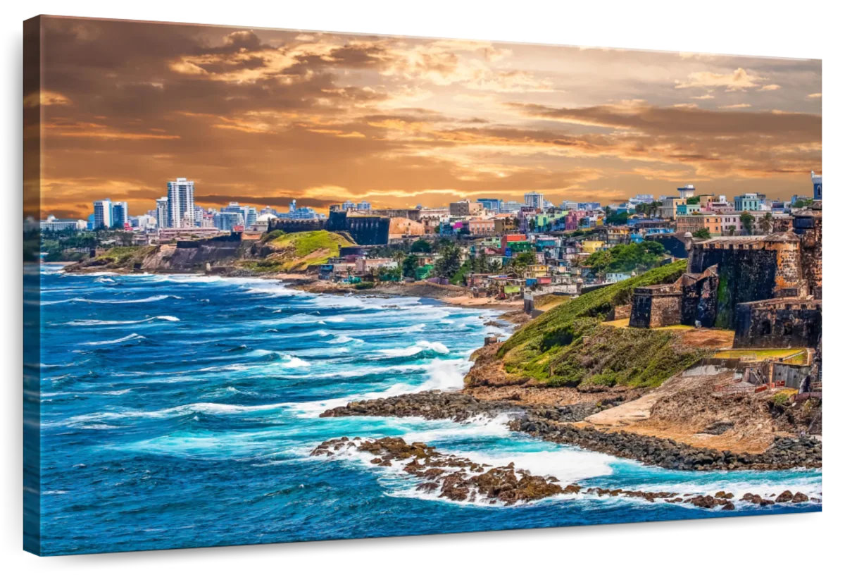 Ebern Designs Nicci Puerto Rico Coast | Wayfair