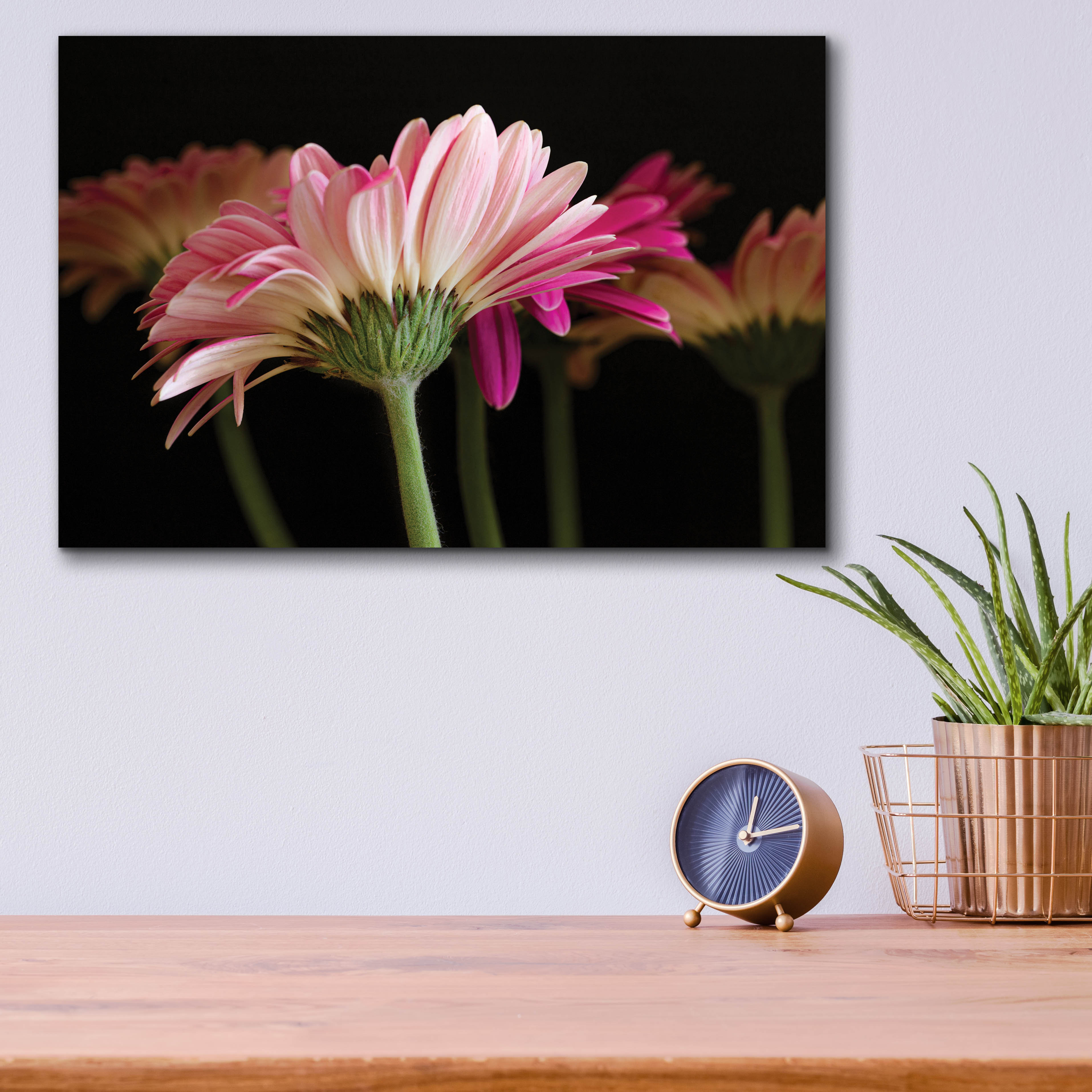 Latitude Run® " Star Of The Show " by Pamela Plummer | Wayfair