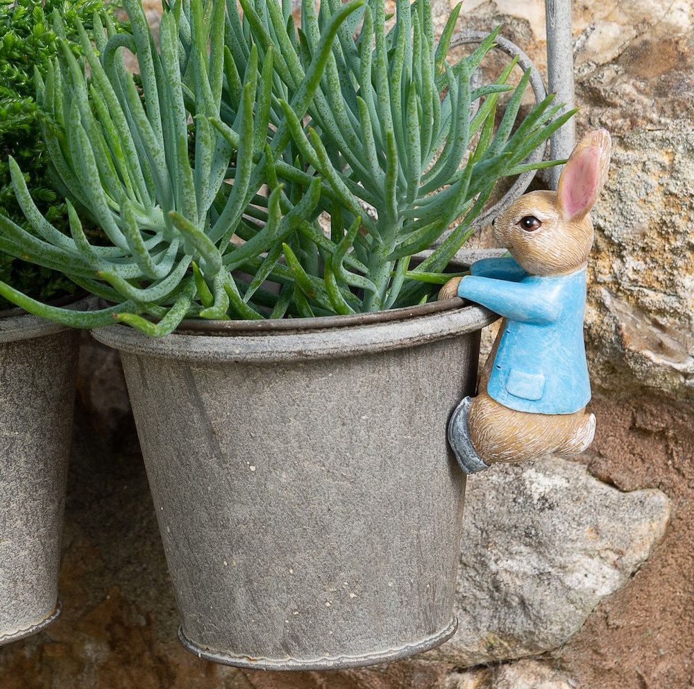 Jardinopia Beatrix Potter Peter Rabbit Climbing Pot Buddy Pot Hanger In ...