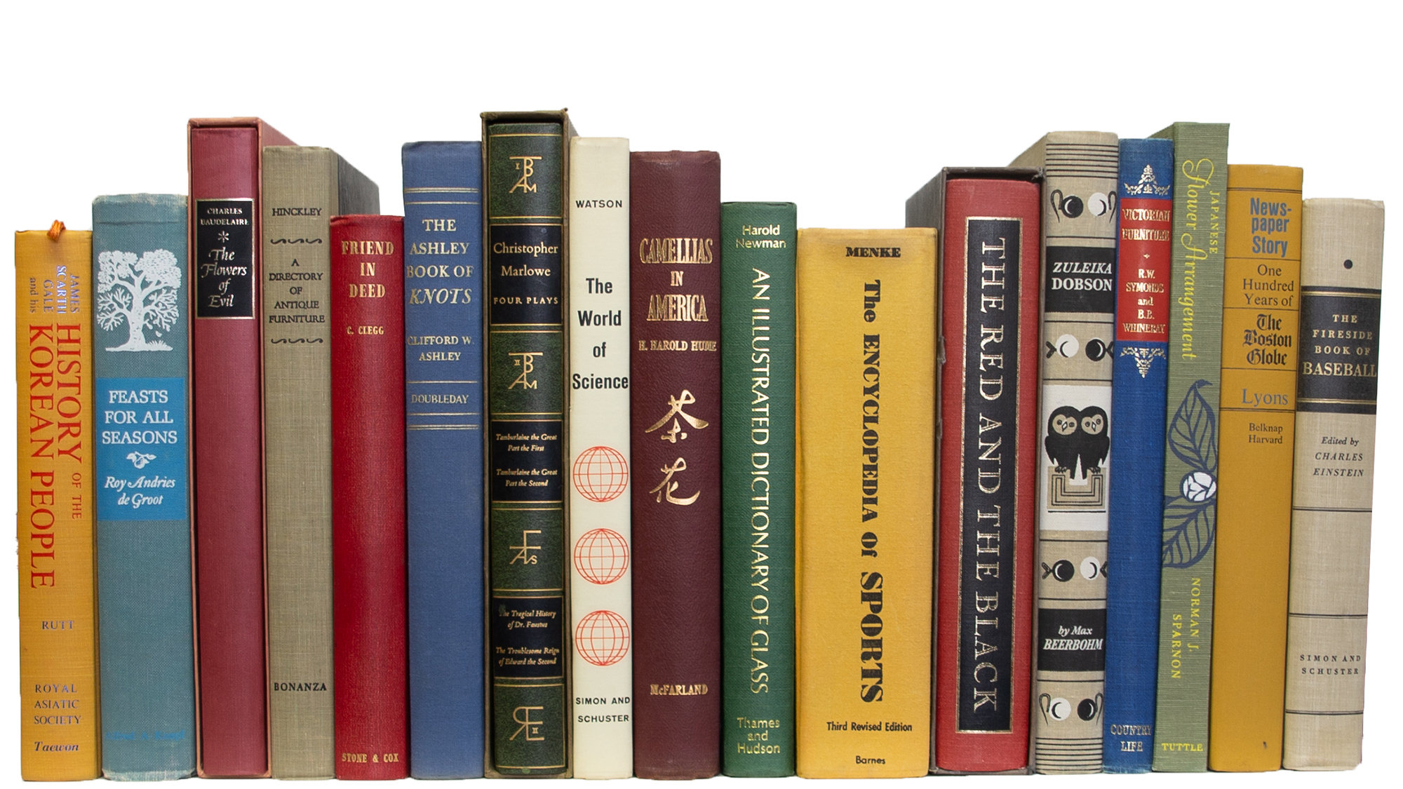 Booth & Williams Color By The Foot Vintage Oversized Mix | Perigold