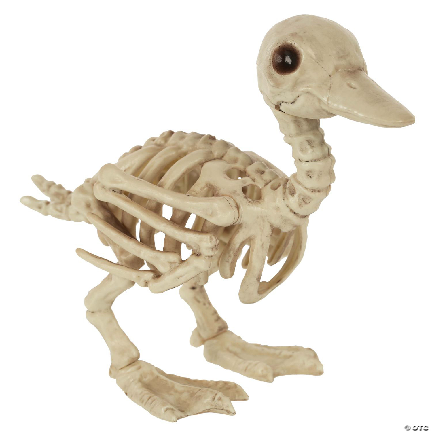 Oriental Trading Company Skeleton Baby Duck Prop | Wayfair