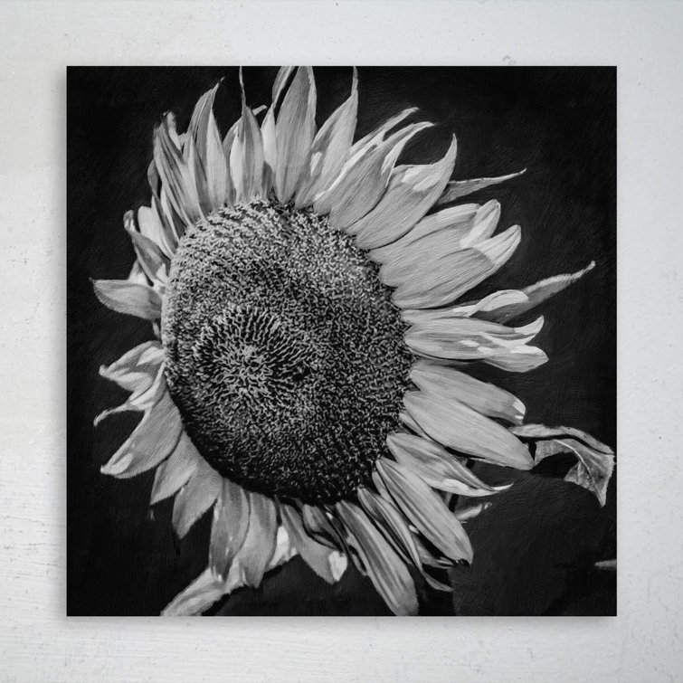 Gracie Oaks Sunflower In Grayscale Photography - 1 Piece Rectangle ...