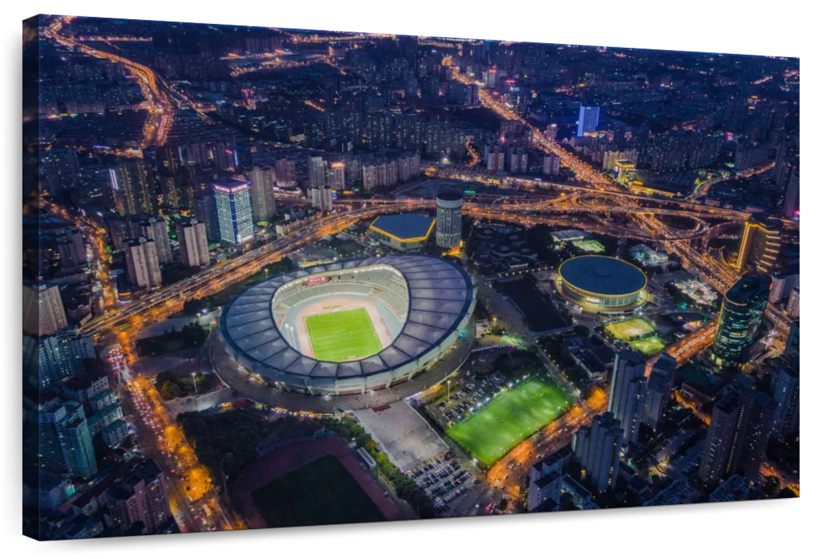 Elephant Stock Shanghai Stadium Aerial View | Wayfair