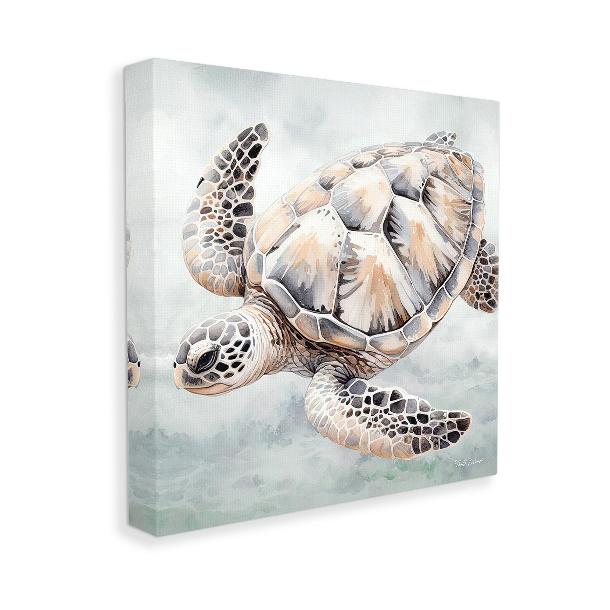 Bay Isle Home™ Detailed Sea Turtle Canvas Wall Art by Nicole Decamp ...