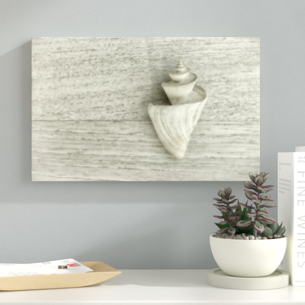 Ebern Designs 'Japanese Wonder Shell' Photographic Print on Wrapped ...