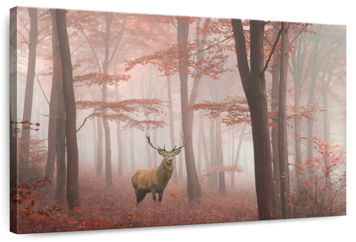 Ebern Designs Elusive Red Deer - Wayfair Canada