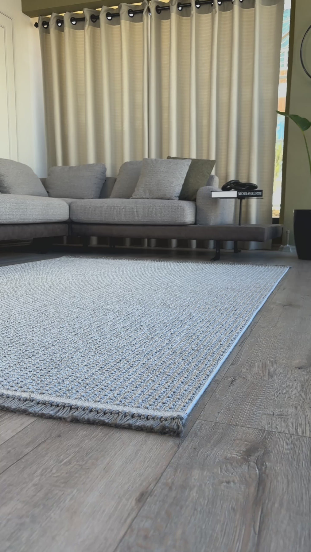 Hokku Designs Vera Gray Soft and Shiny Textured Cut Pile Rug | Wayfair