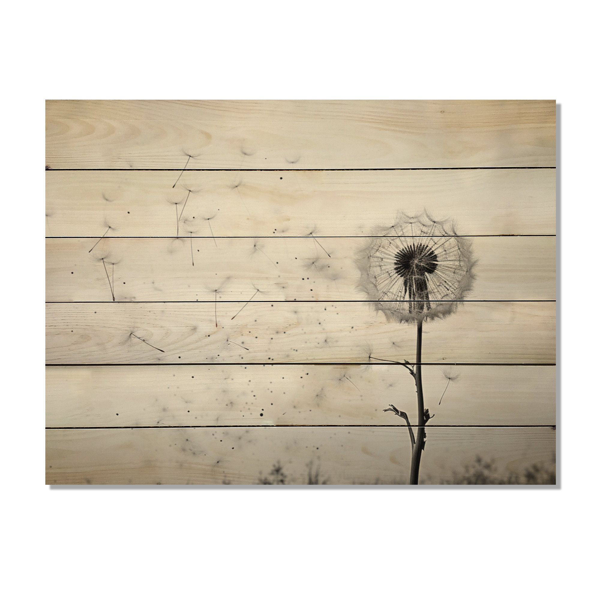 August Grove® Bernfried Bernfried Minimalims Dandelion Natures ...