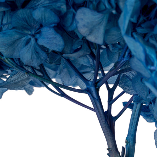 Primrue Natural Botanicals 15" Hydrangea with Multiple Branch Segments ...