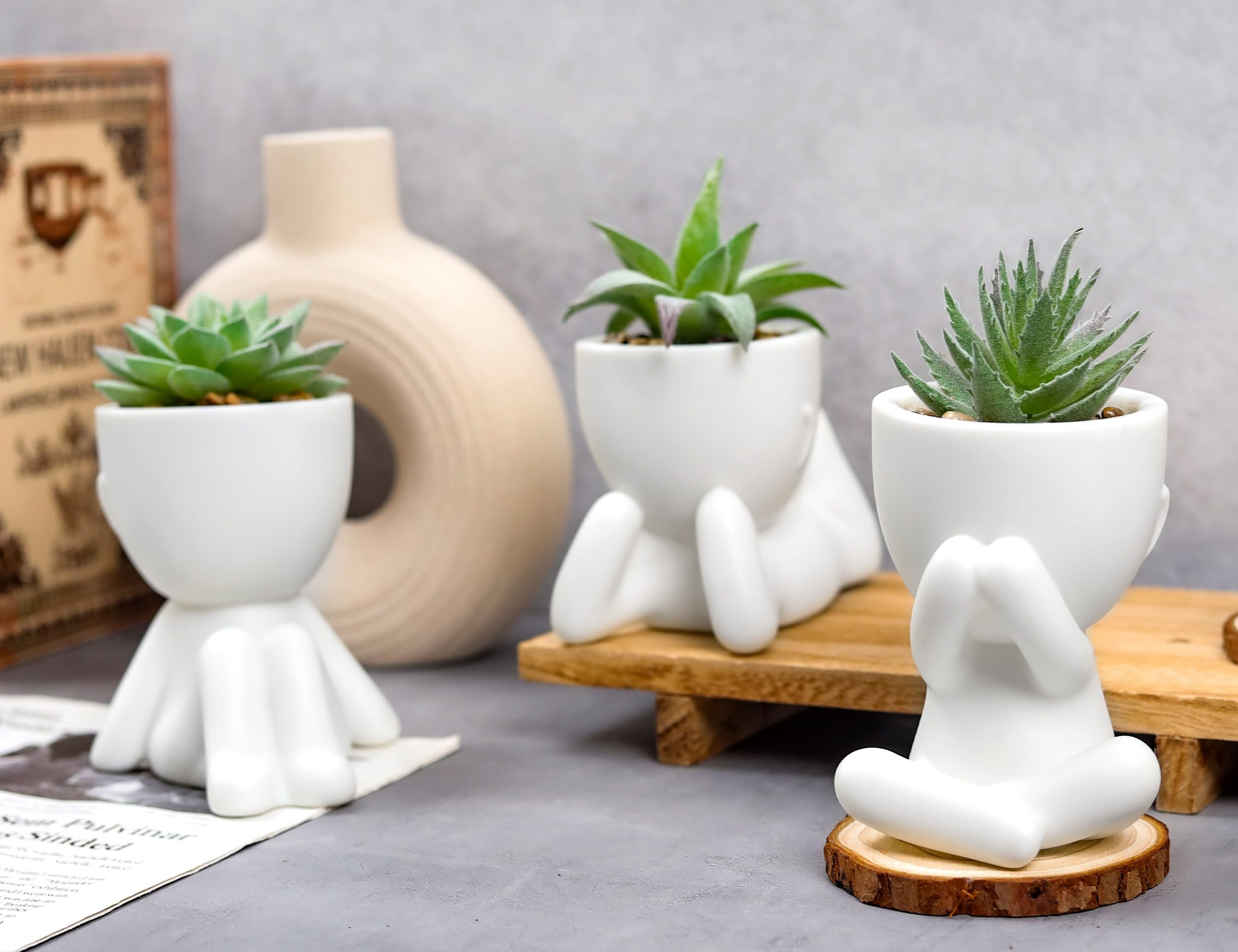 Primrue 3Pcs Fake Succulents Plants Artificial For Bathroom Bedroom ...