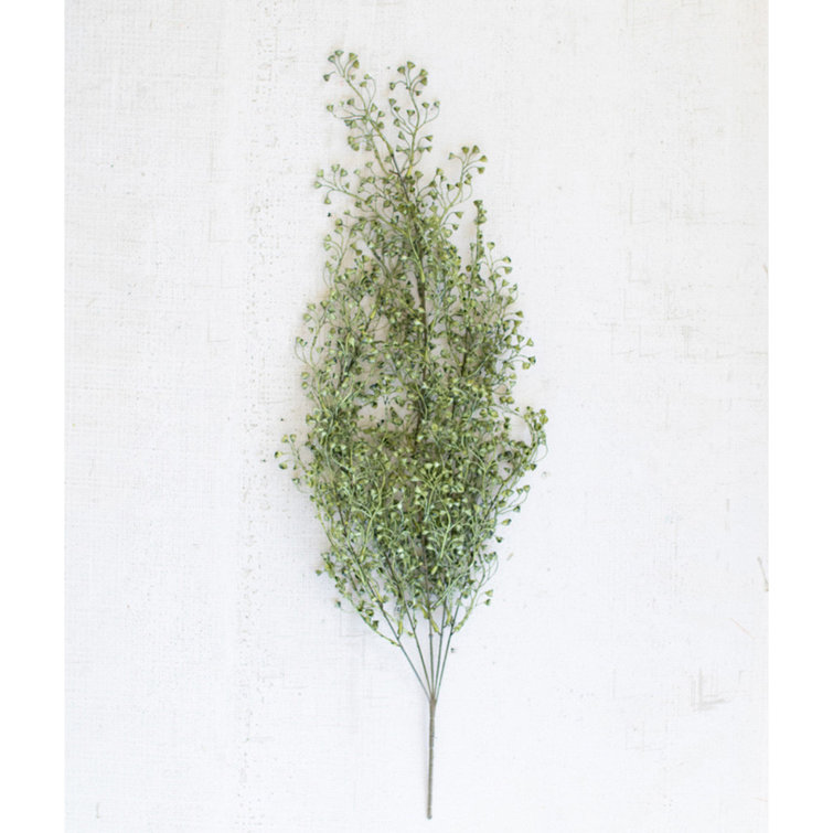 Kalalou Arrangement - Wayfair Canada