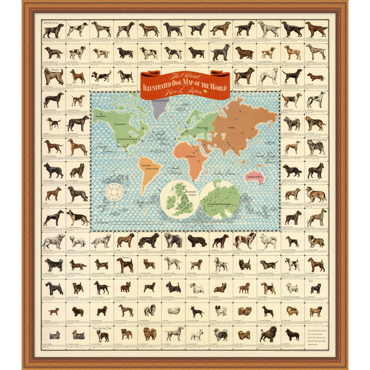 Wendover Art Group Illustrated Dog Map Of The World Framed On Paper ...