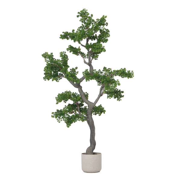 Primrue 55" Artificial Faux Bonsai Tree | Real Touch Faux Bonsai Tree ...