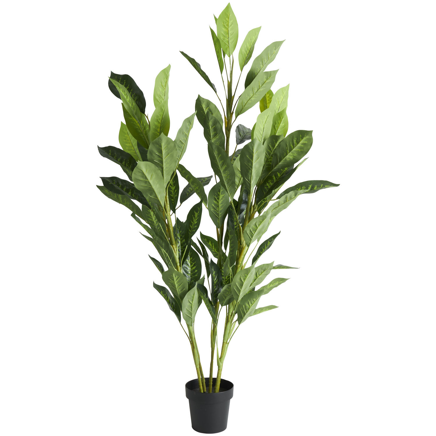 Primrue 67'' Faux Foliage Tree in Pot | Wayfair