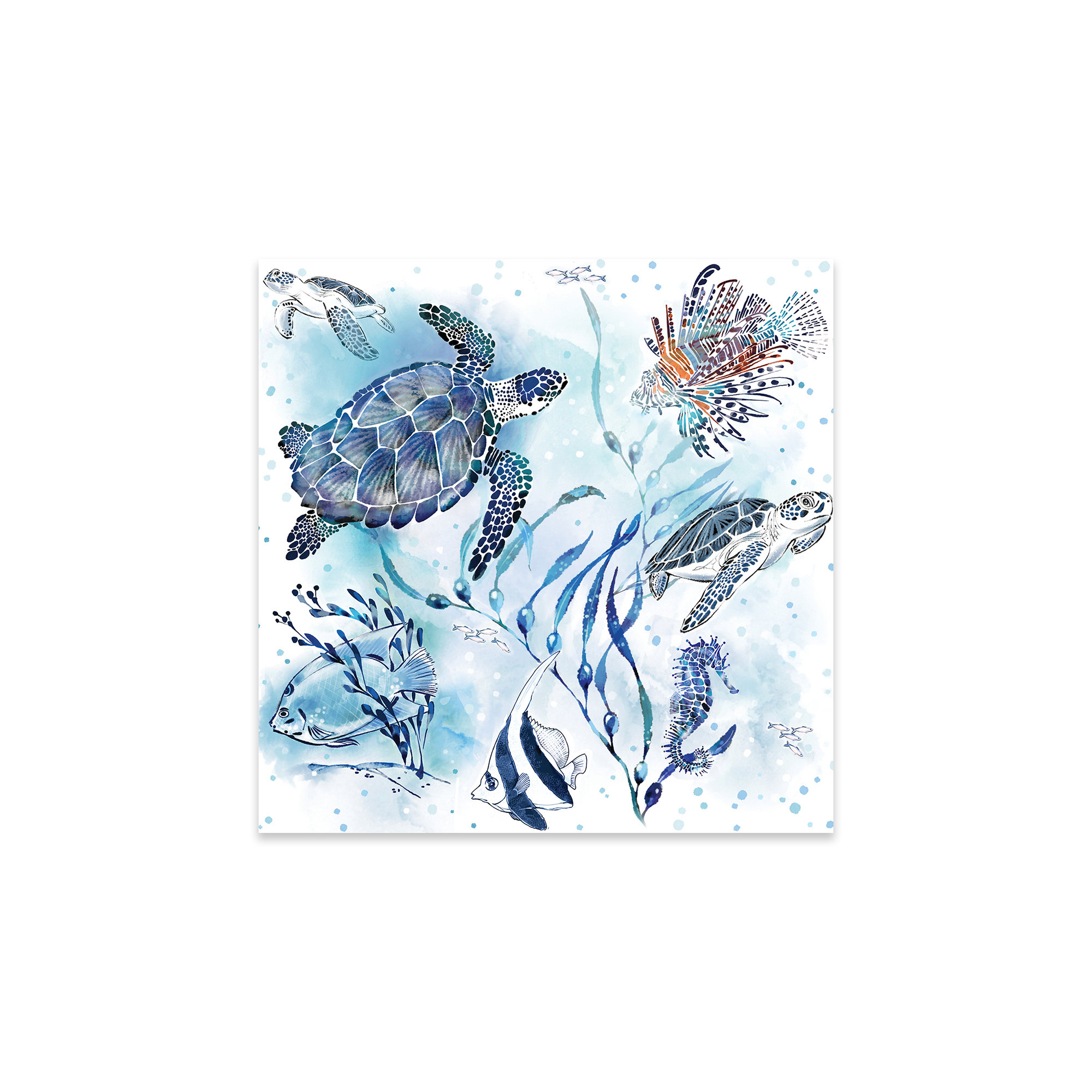 Bay Isle Home™ Turtle Town Replacement On Plastic/Acrylic by Thomas ...