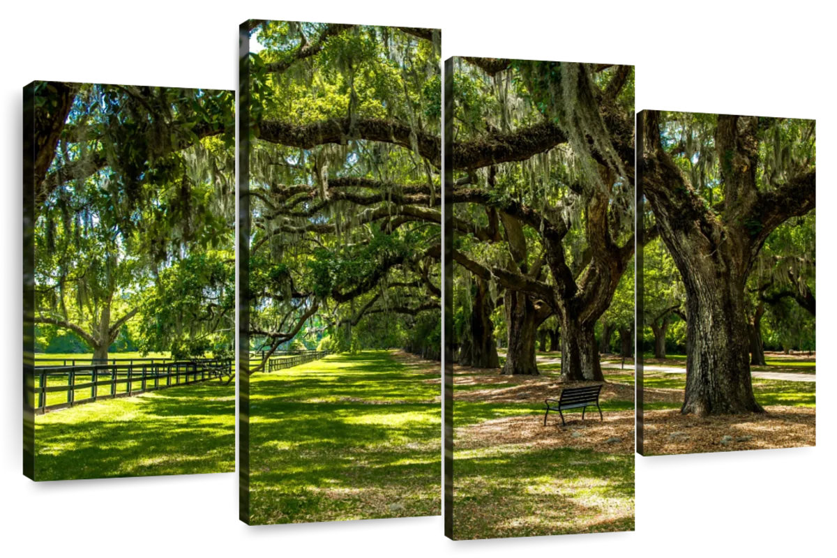 Lark Manor Harnek Boone Hall Scenery - Wayfair Canada
