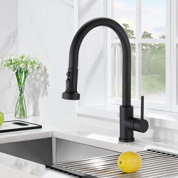 Aula Pull Down Kitchen Faucet - Wayfair Canada