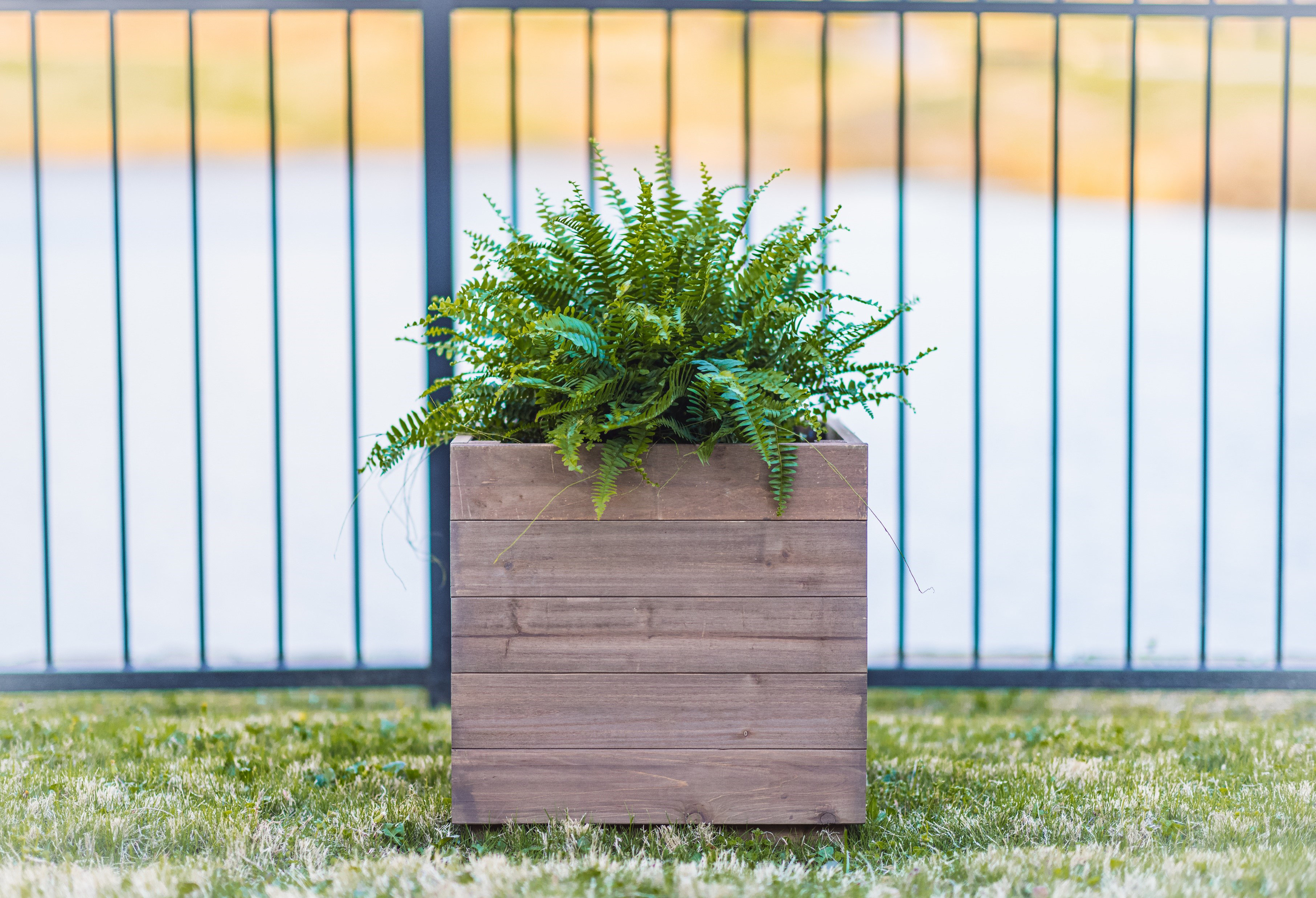Loon Peak® Azha Planter Box | Wayfair