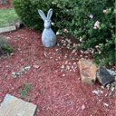 Design Toscano Big Burly Bunny Rabbit 2 Piece Statue Set & Reviews ...
