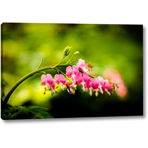 Ebern Designs Bleeding Hearts I On Canvas by Beth Wold Print | Wayfair