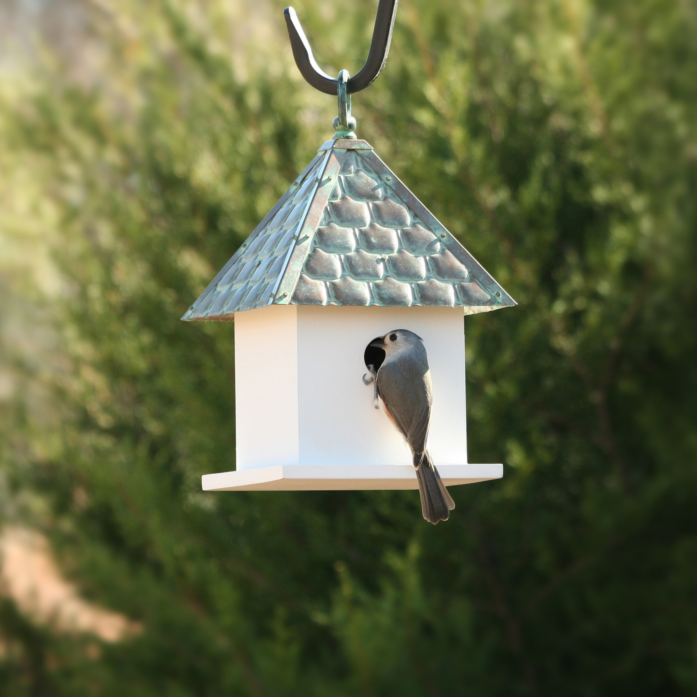 Gracie Oaks Karmakar Bird House Bungalow with Verdigris Roof & Reviews ...