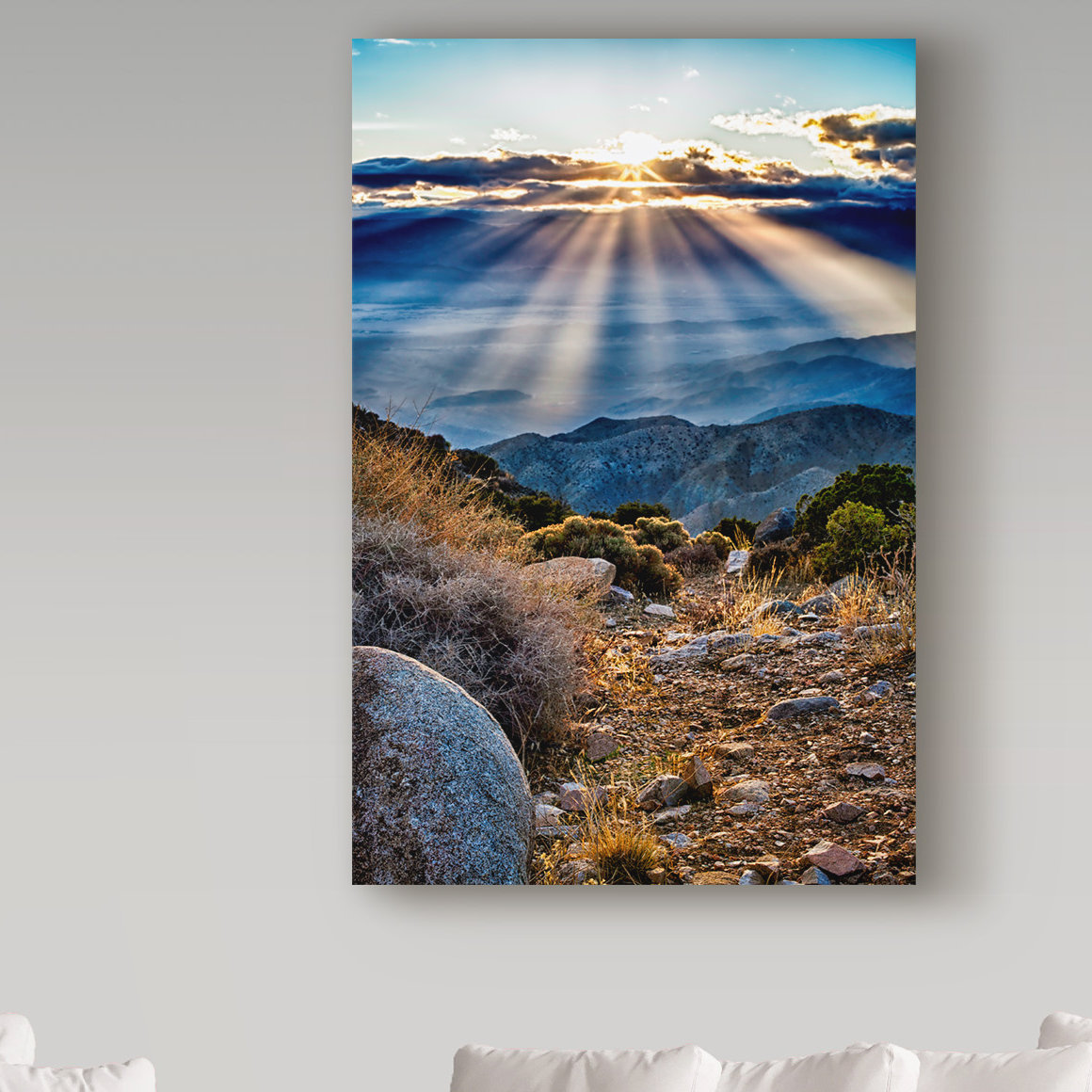 Trademark Fine Art 'Joshua Tree Sunset Ii' Photographic Print on ...