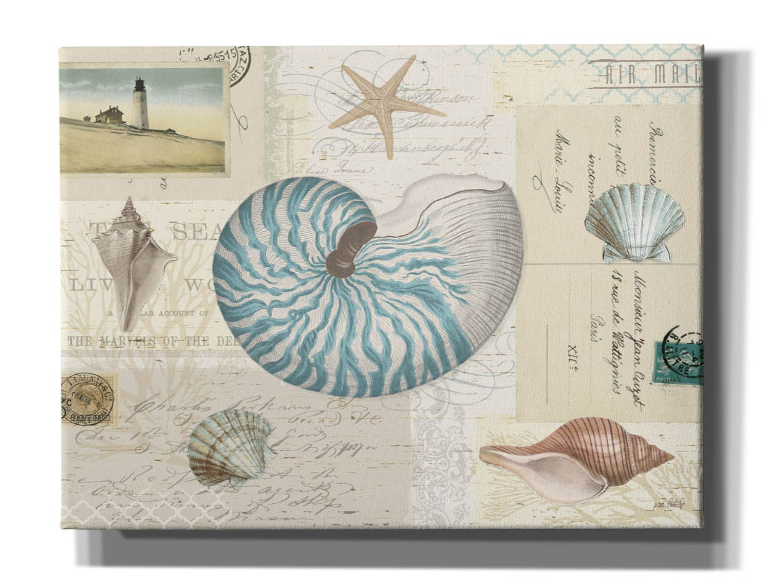 Epic Graffiti 'Beach Wonders 1 No Butterflies' by Katie Pertiet Canvas ...