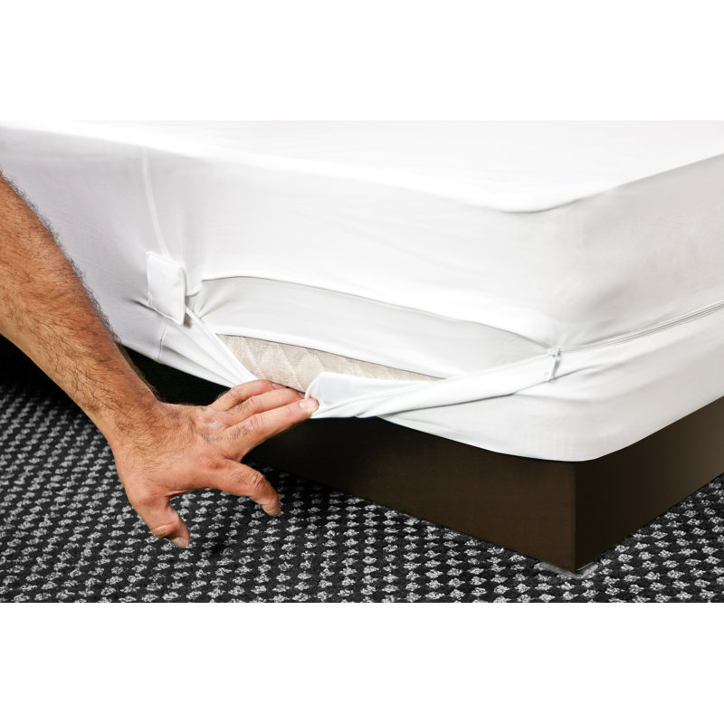 Hospitology Sleep Defense System Hypoallergenic Boxspring Encasement ...