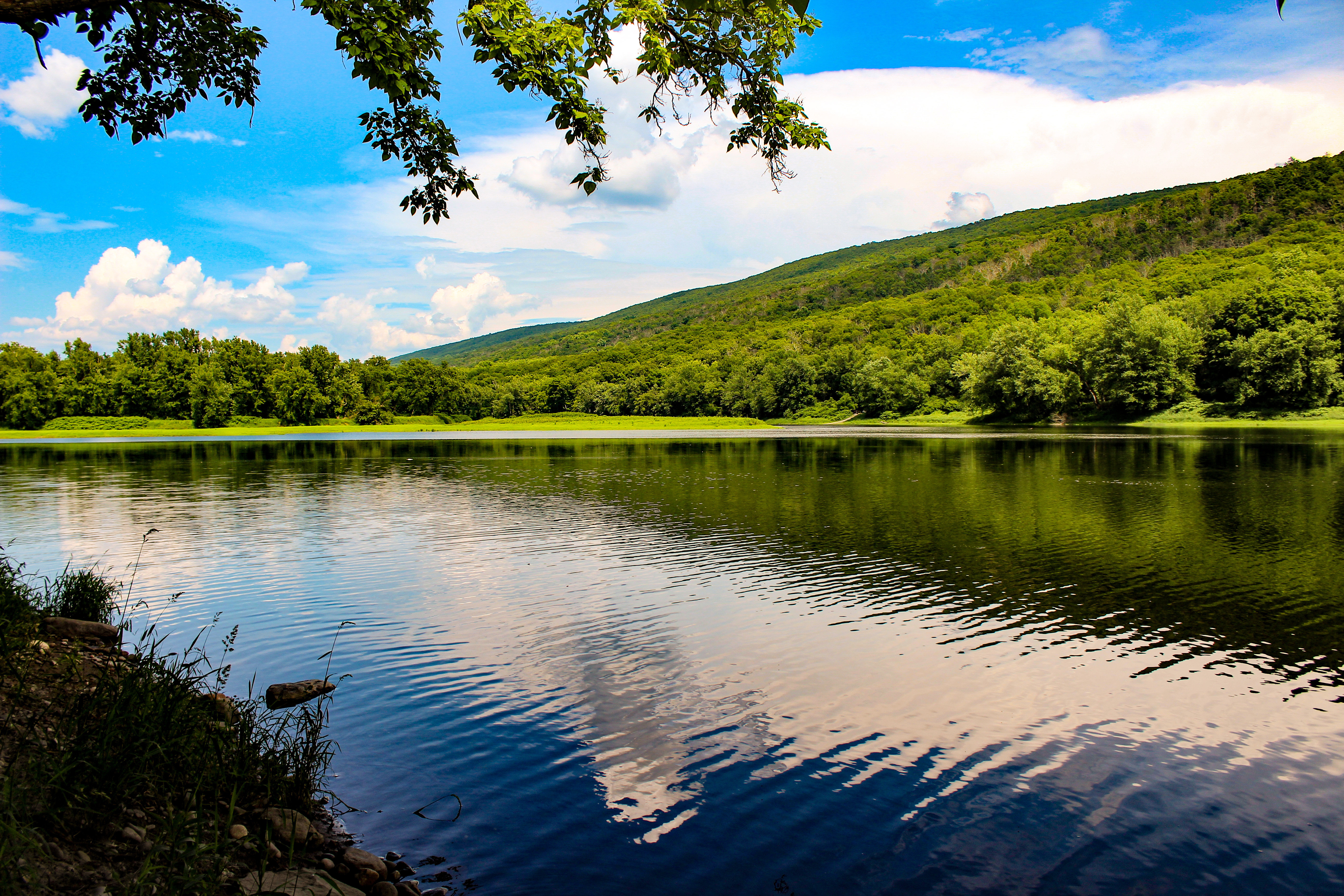 Alpen Home Delaware River by Cheri James - Wrapped Canvas Photograph ...