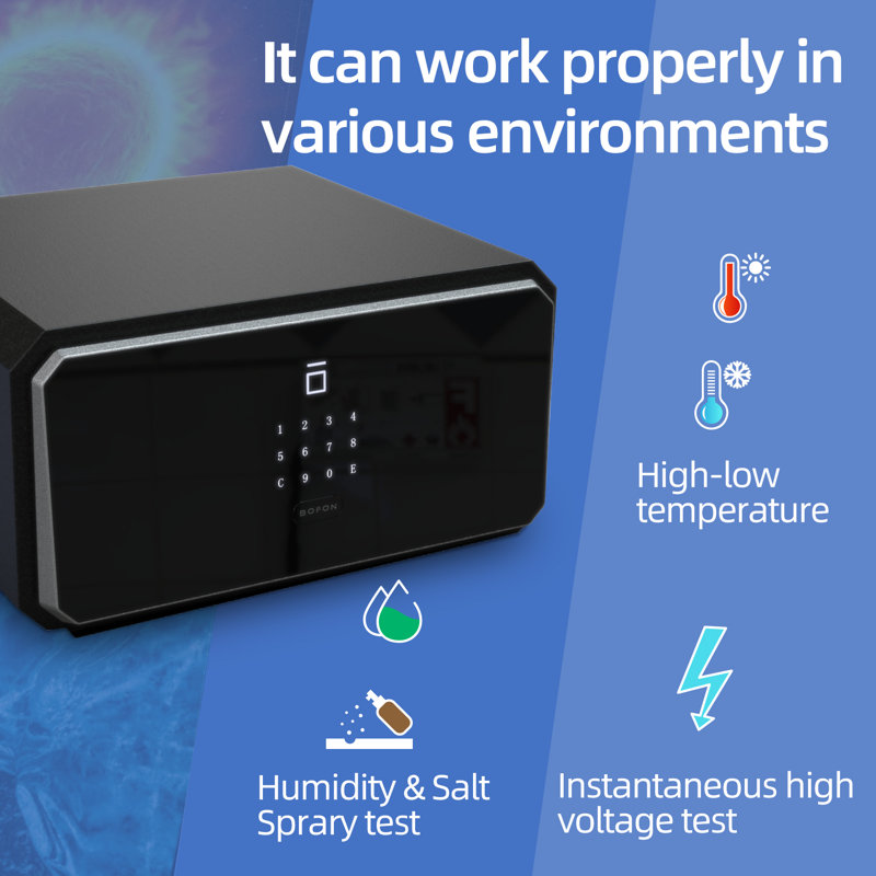 BOFON Security Box with Key, Safe Box, Fingerprint Password Safety ...