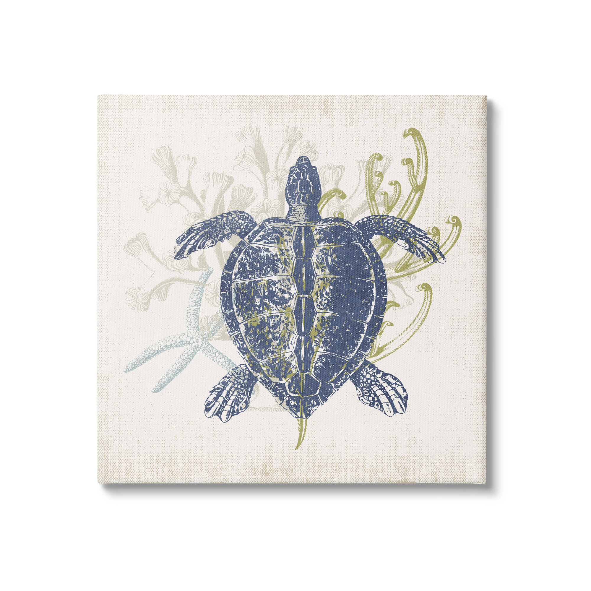 Stupell Industries Detailed Sea Turtle Layered Coral Aquatic Life by ...