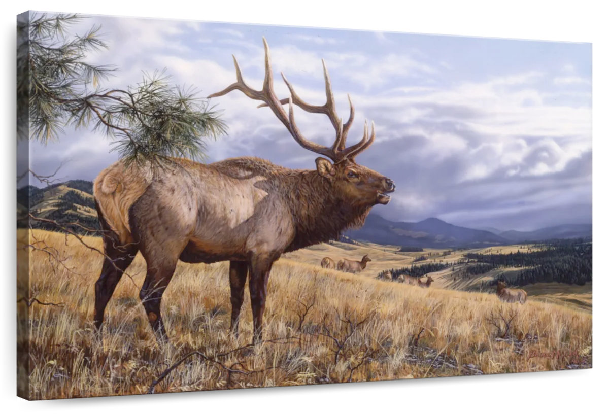 Ebern Designs Big Sky Bugler | Wayfair