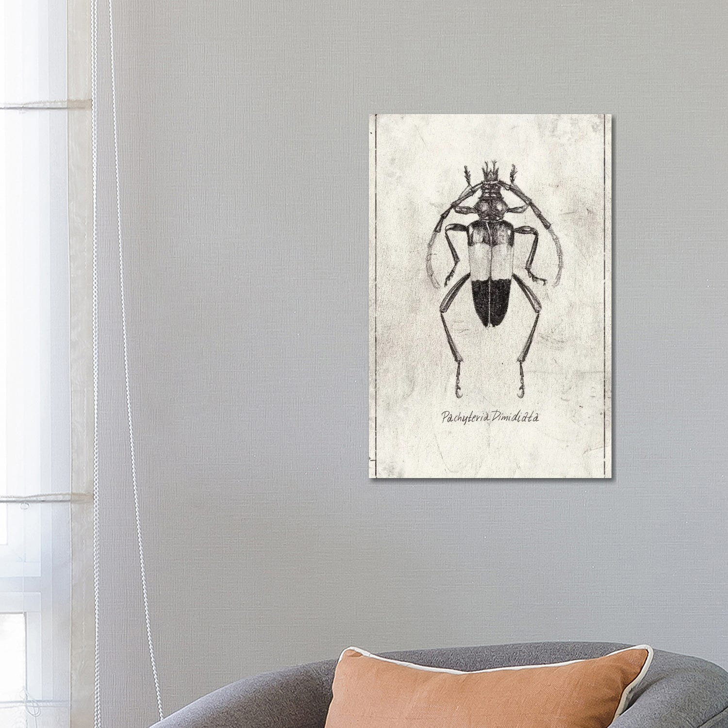 Sommerallee Pachyteria Dimidiata by Mike Koubou - Wrapped Canvas ...