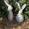 Design Toscano Big Burly Bunny Rabbit 2 Piece Statue Set & Reviews ...