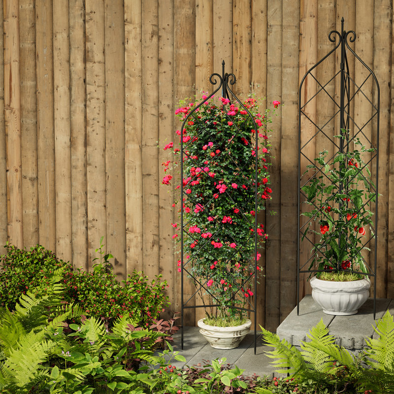 Winston Porter Roseville 18'' W Garden Metal Obelisk Trellis for ...
