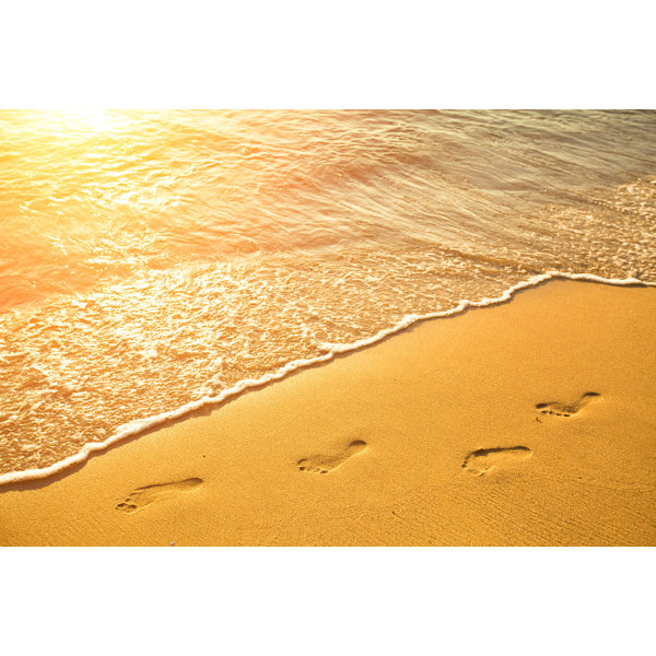 House of Hampton Footsteps On The Beach | Wayfair.co.uk