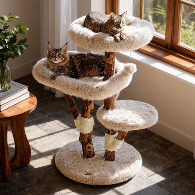 awesome cat trees
