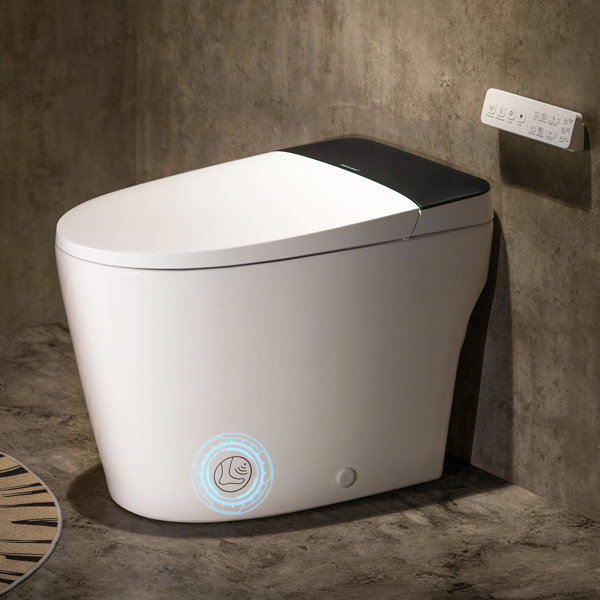 Bidet Toilets | Toilet With Built In Bidet & Fancy Toilet With Bidet