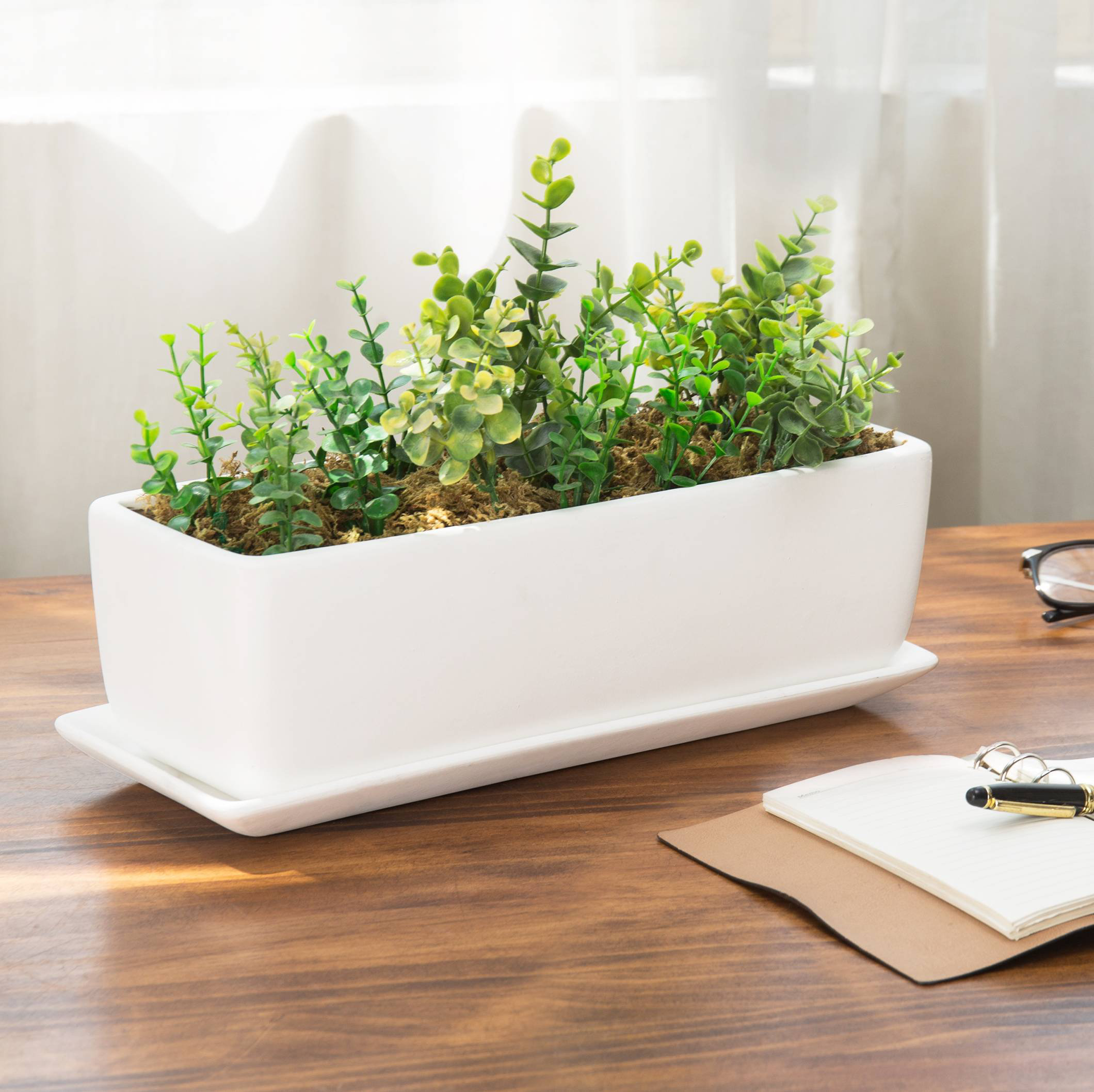 MY GIFT Ceramic Planter Box & Reviews | Wayfair.co.uk