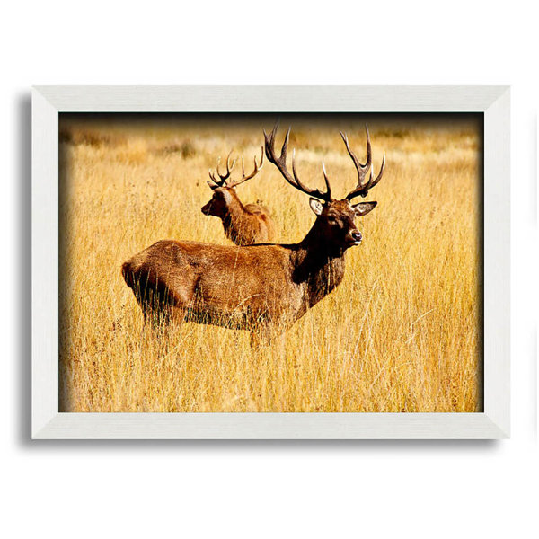 Alpen Home Duke Stag Duo - Single Picture Frame Art Prints | Wayfair.co.uk