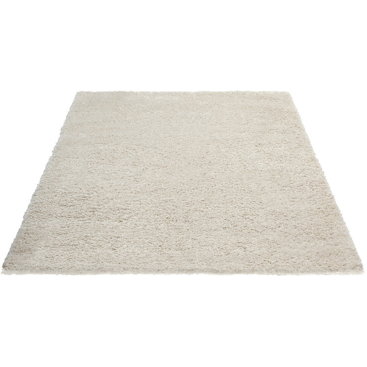 Latitude Run Shaggy Rug in Cream | Wayfair.co.uk