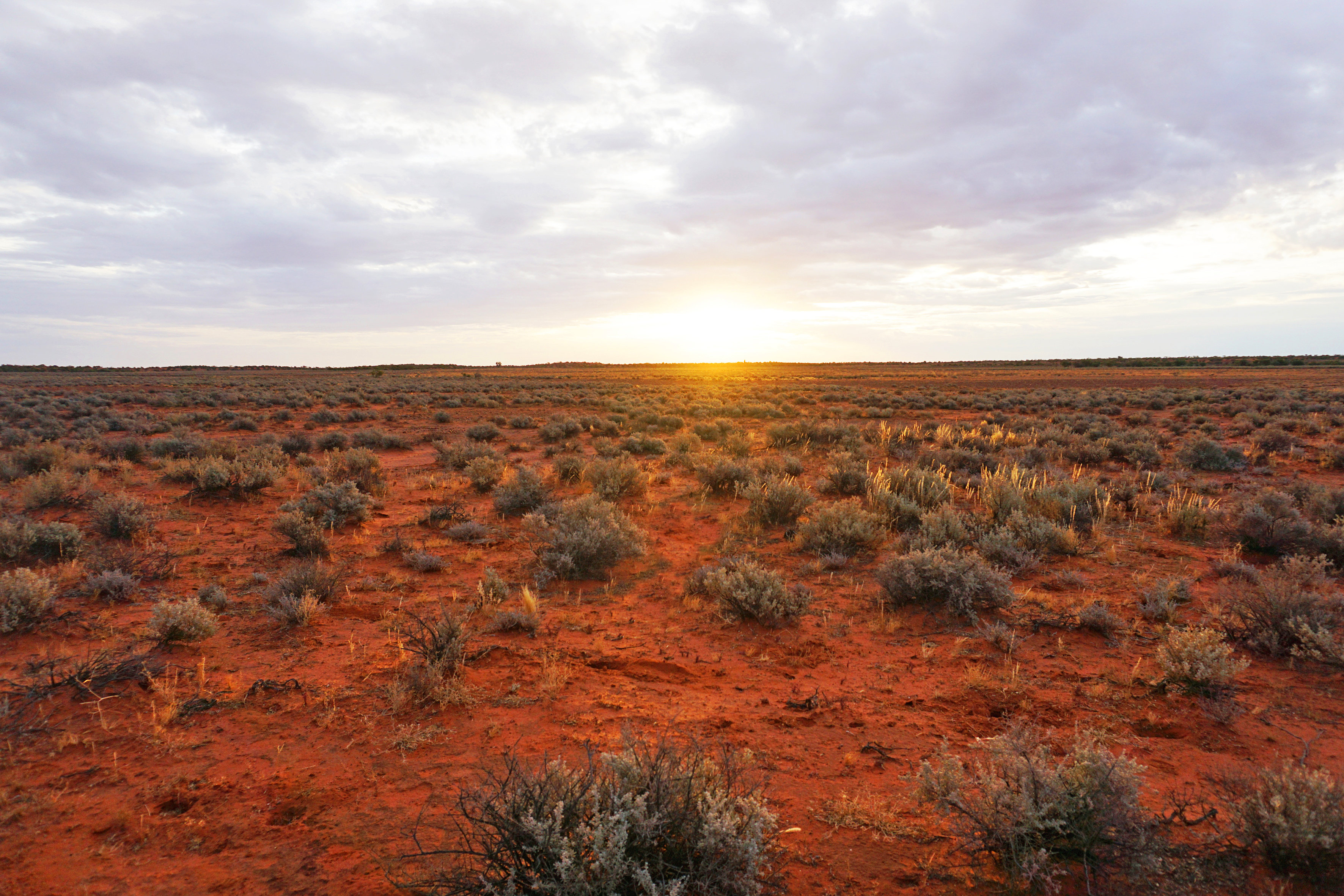 Union Rustic Arid Lands, Roxby Downs, South Australia by Julianne Caust ...