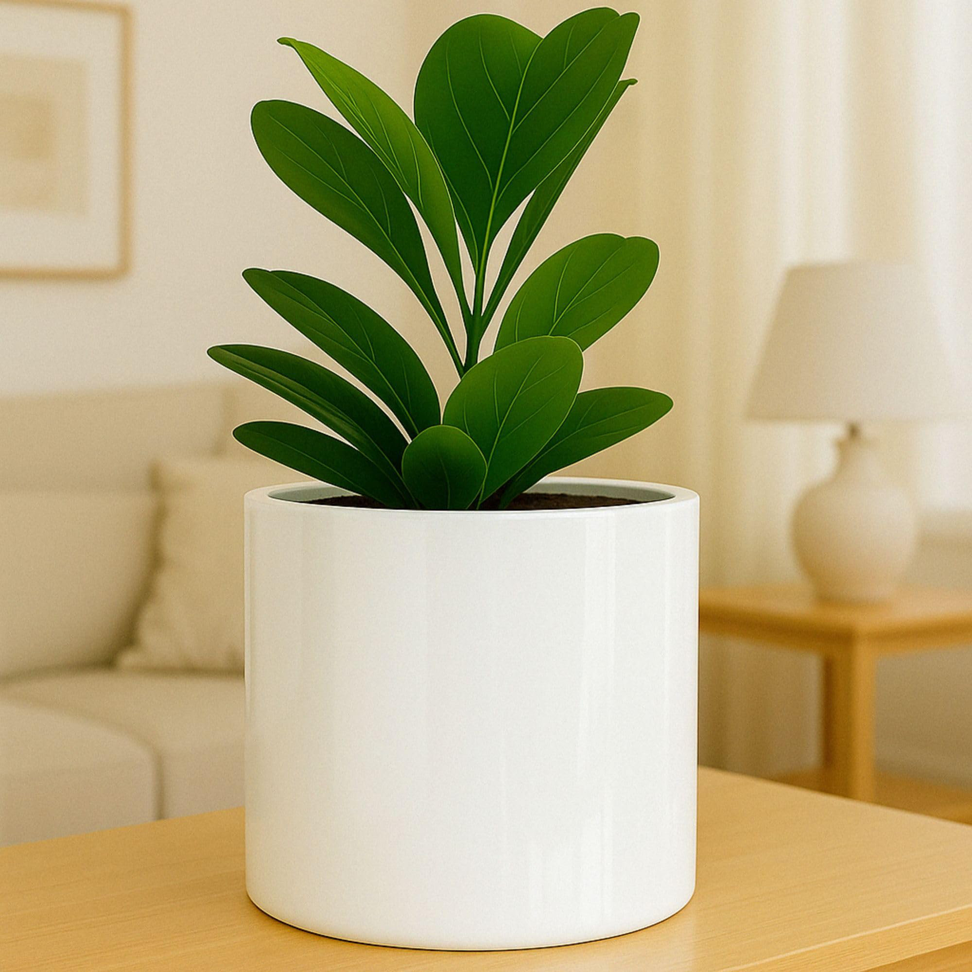 Latitude Run® Large 12 Inch Planter — Premium Lightweight Fiberstone ...