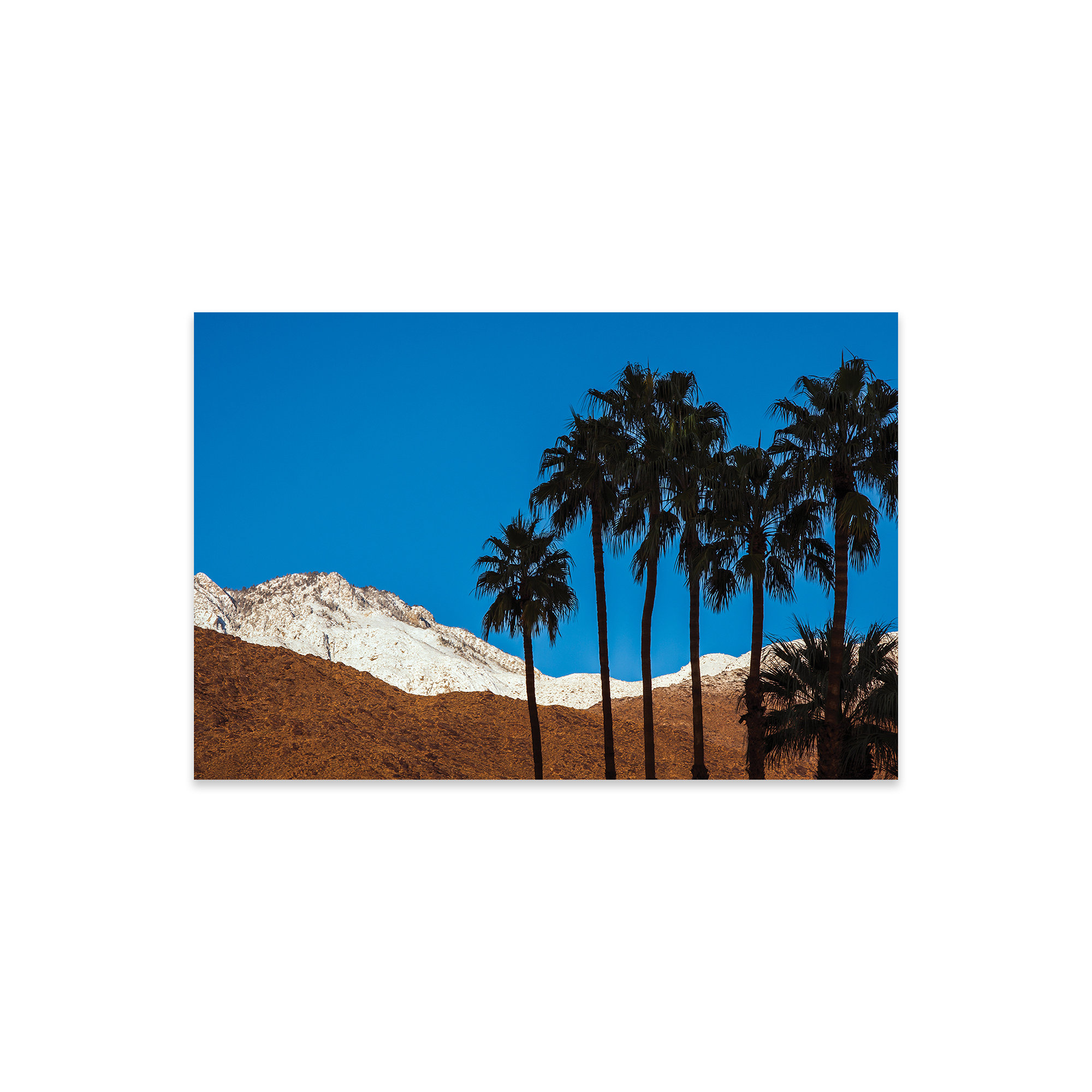 Bay Isle Home™ Palm Springs, California On Plastic/Acrylic by Zandria ...