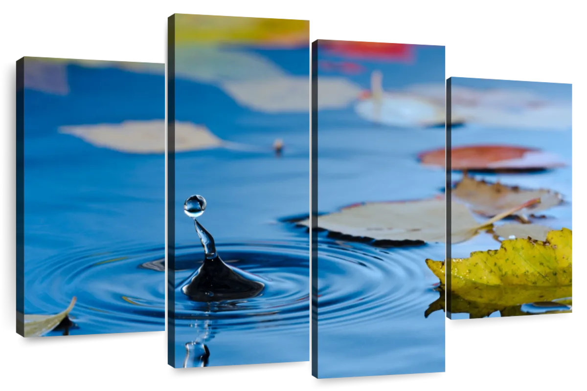 Millwood Pines Alvord Drip Drop | Wayfair