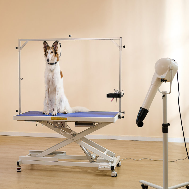 CO-Z 47" Electric Pet Grooming Table Dog Grooming Station Height ...