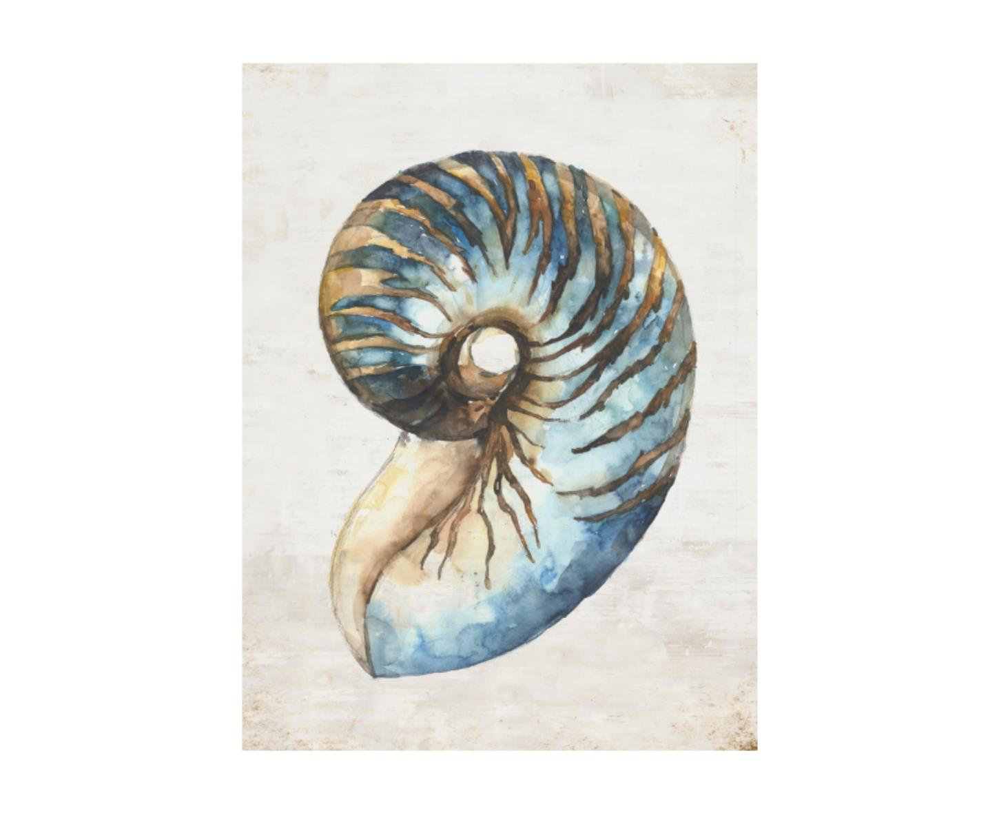 Chelsea Art Studio Shell Compilation III by Beverly Fuller - Painting ...