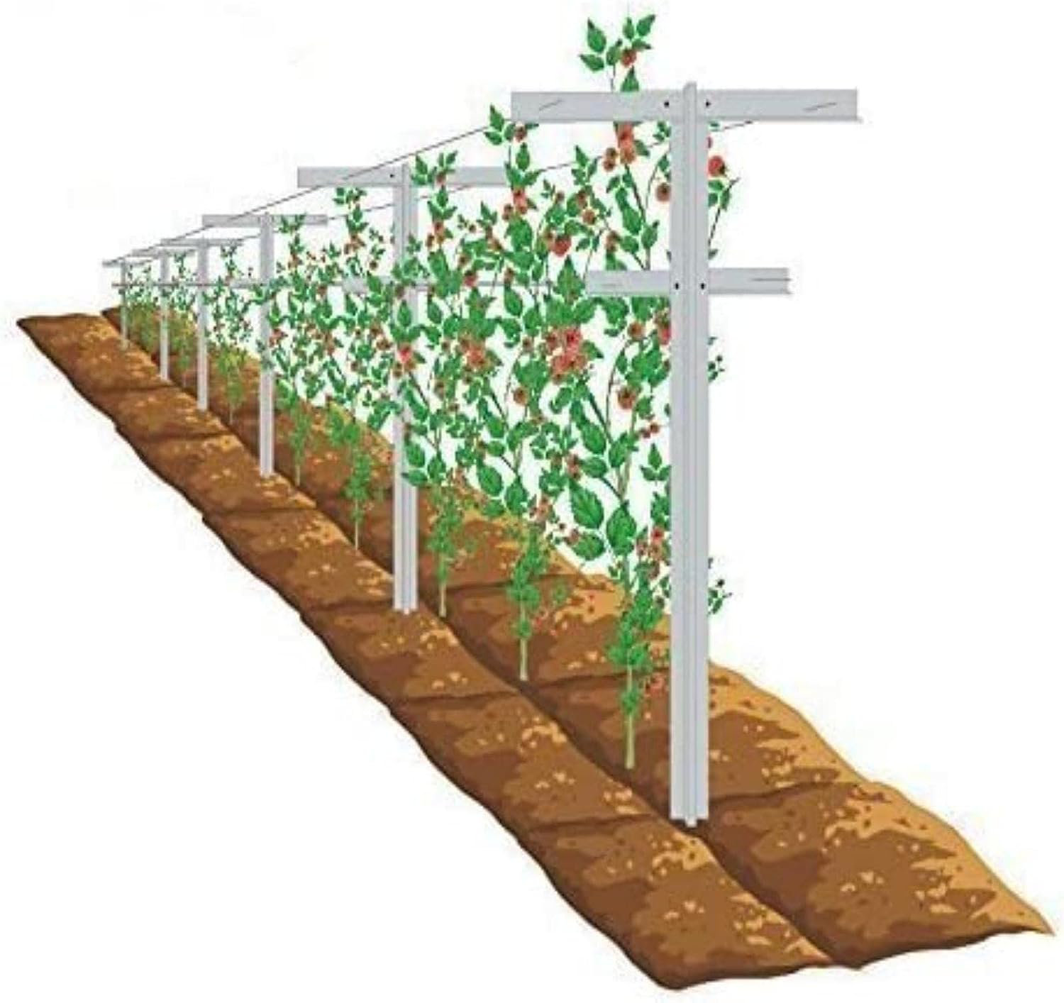 Arlmont & Co. Lachlynn 7'' H x 3'' W Wood Stright Trellis | Wayfair