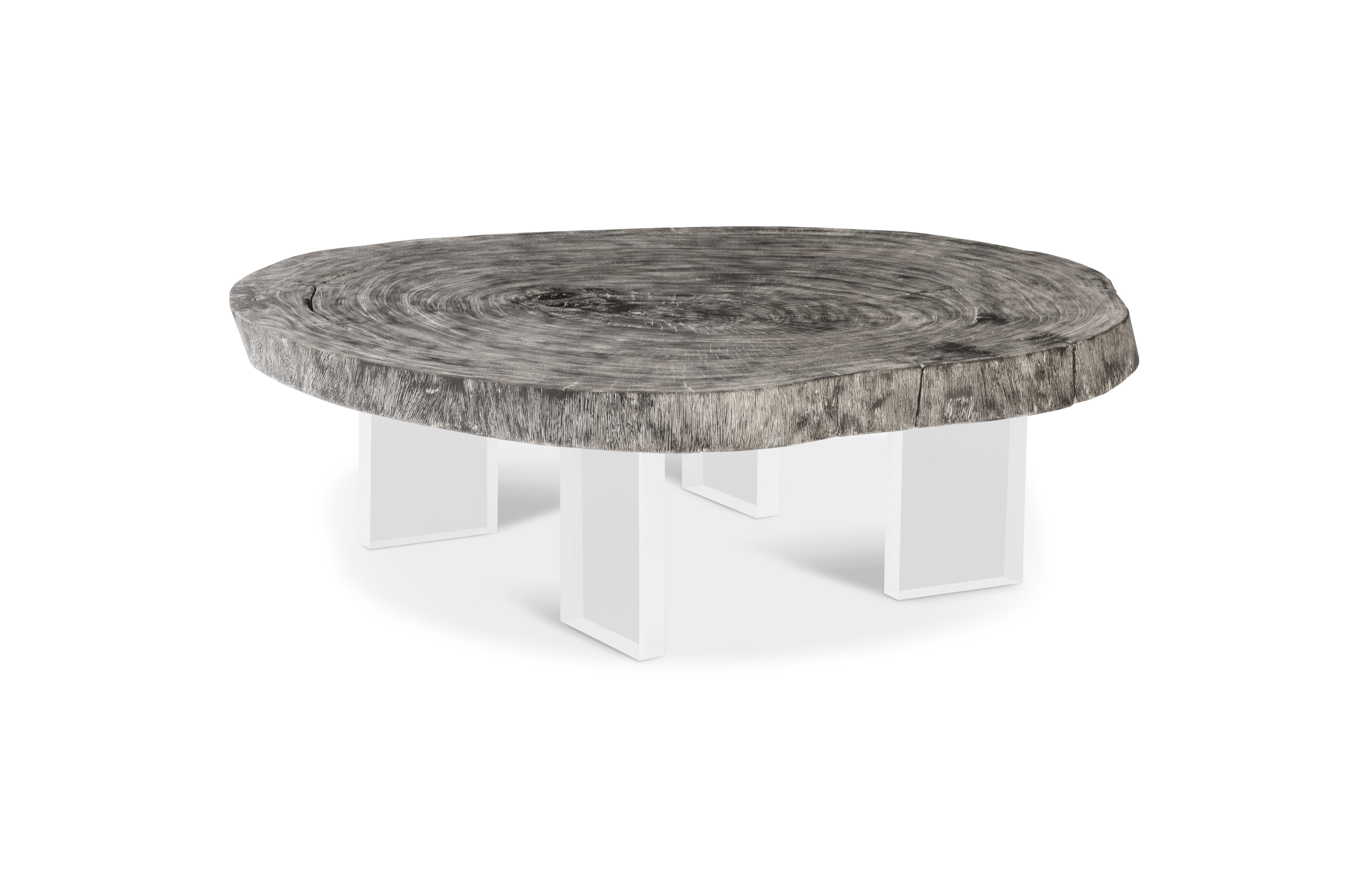 Phillips Collection Coffee Table | Perigold