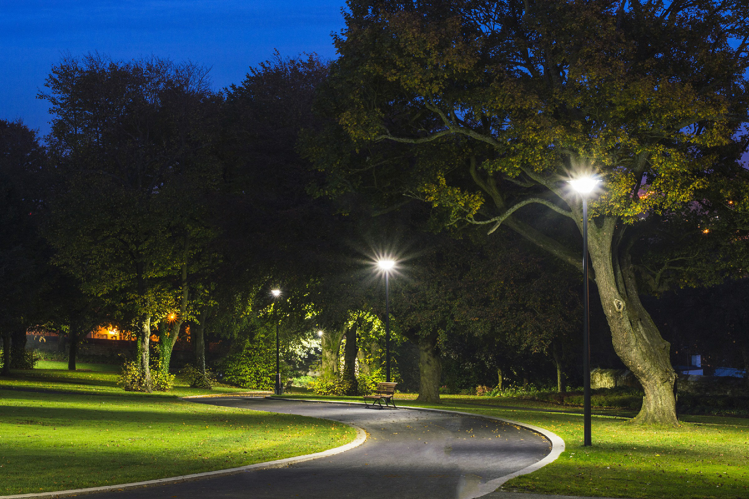Ebern Designs Peaceful Park | Wayfair